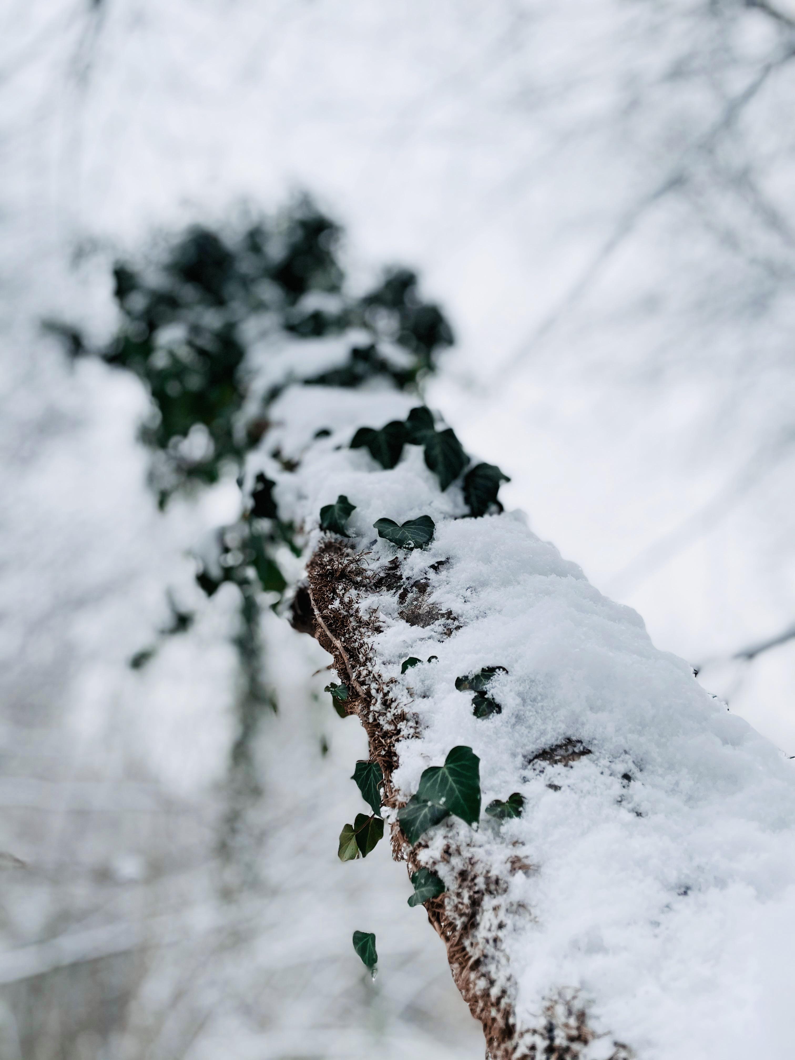 The portrait mode on the iPhone works really nice in landscape photography, too 😊 | Scrolller