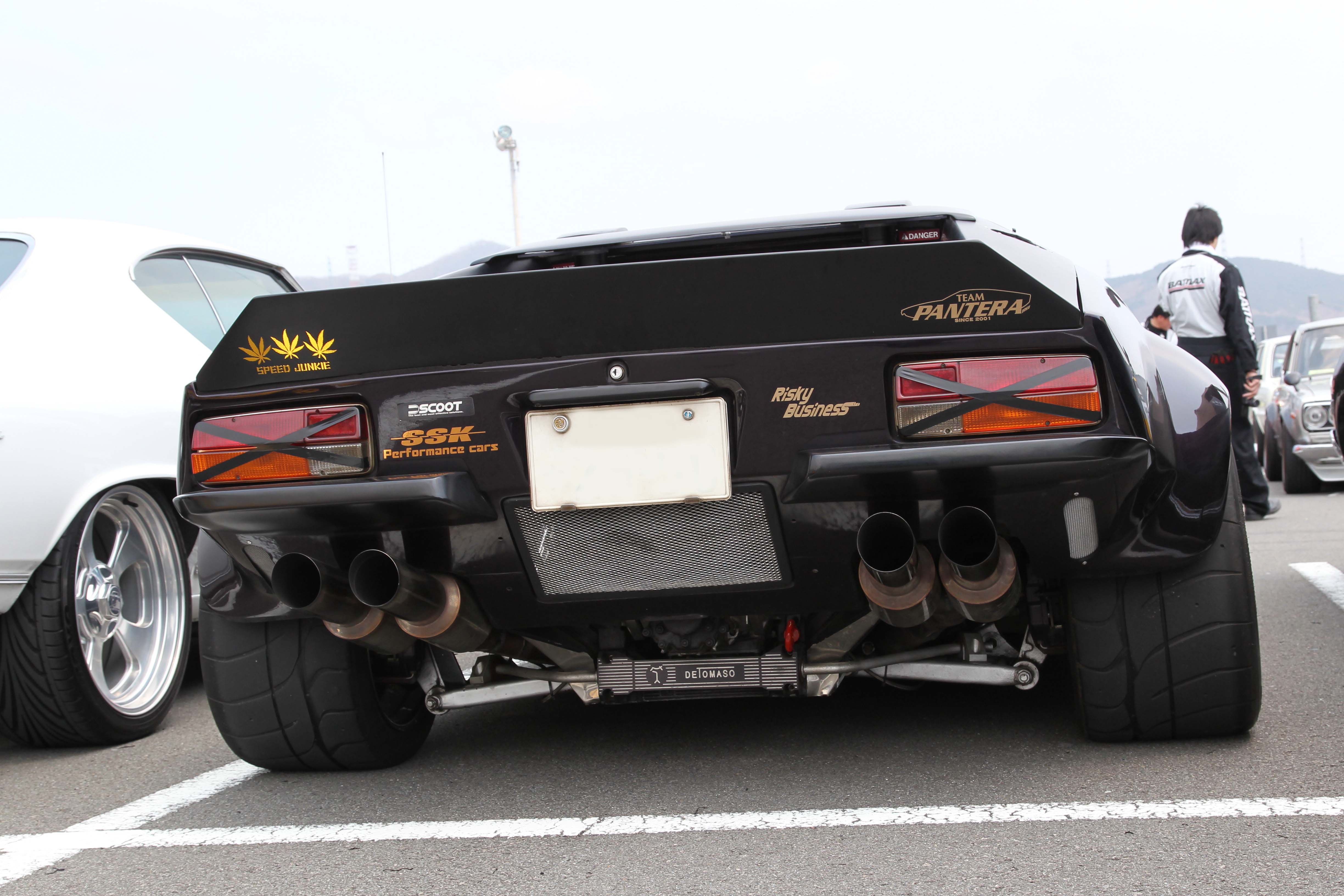 The rather meaty rear end of a Pantera | Scrolller