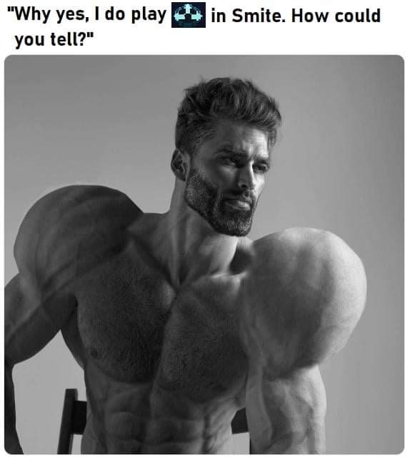 The real chad | Scrolller