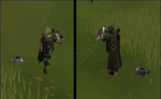 The Real Hunting Expert | Scrolller