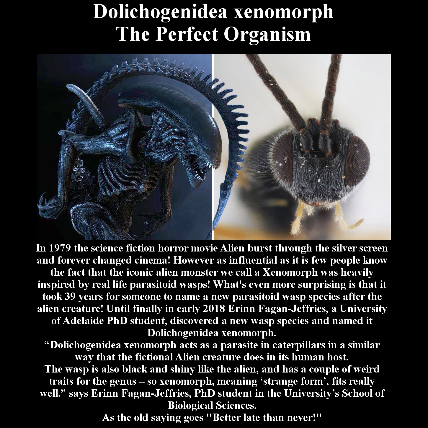 The Real Xenomorph! | Scrolller