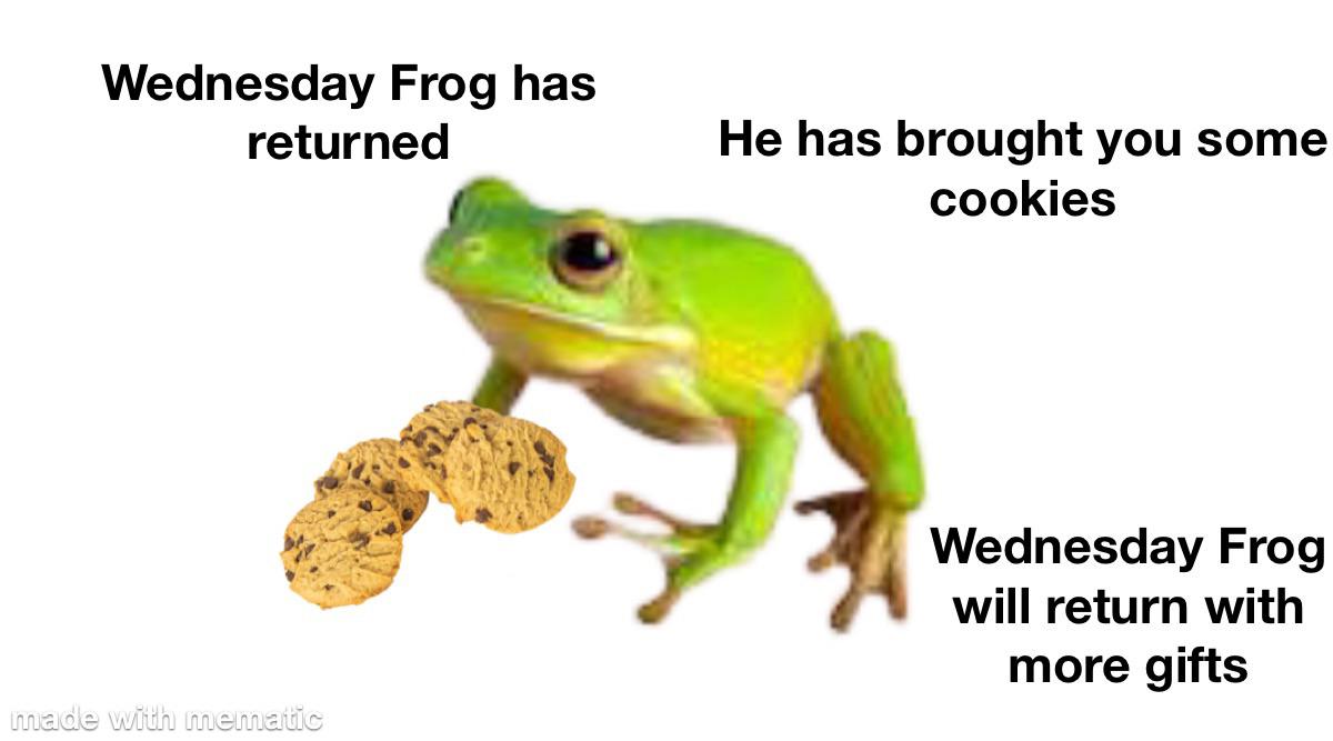 The return of the frog | Scrolller