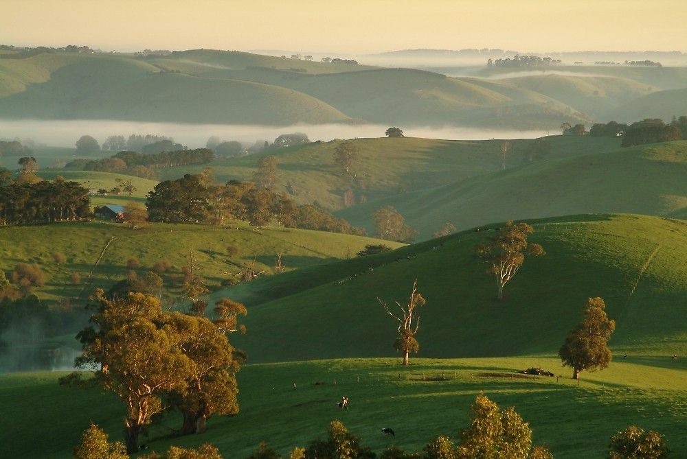 The Rolling Hills of Victoria's Gippsland region in Australia. | Scrolller
