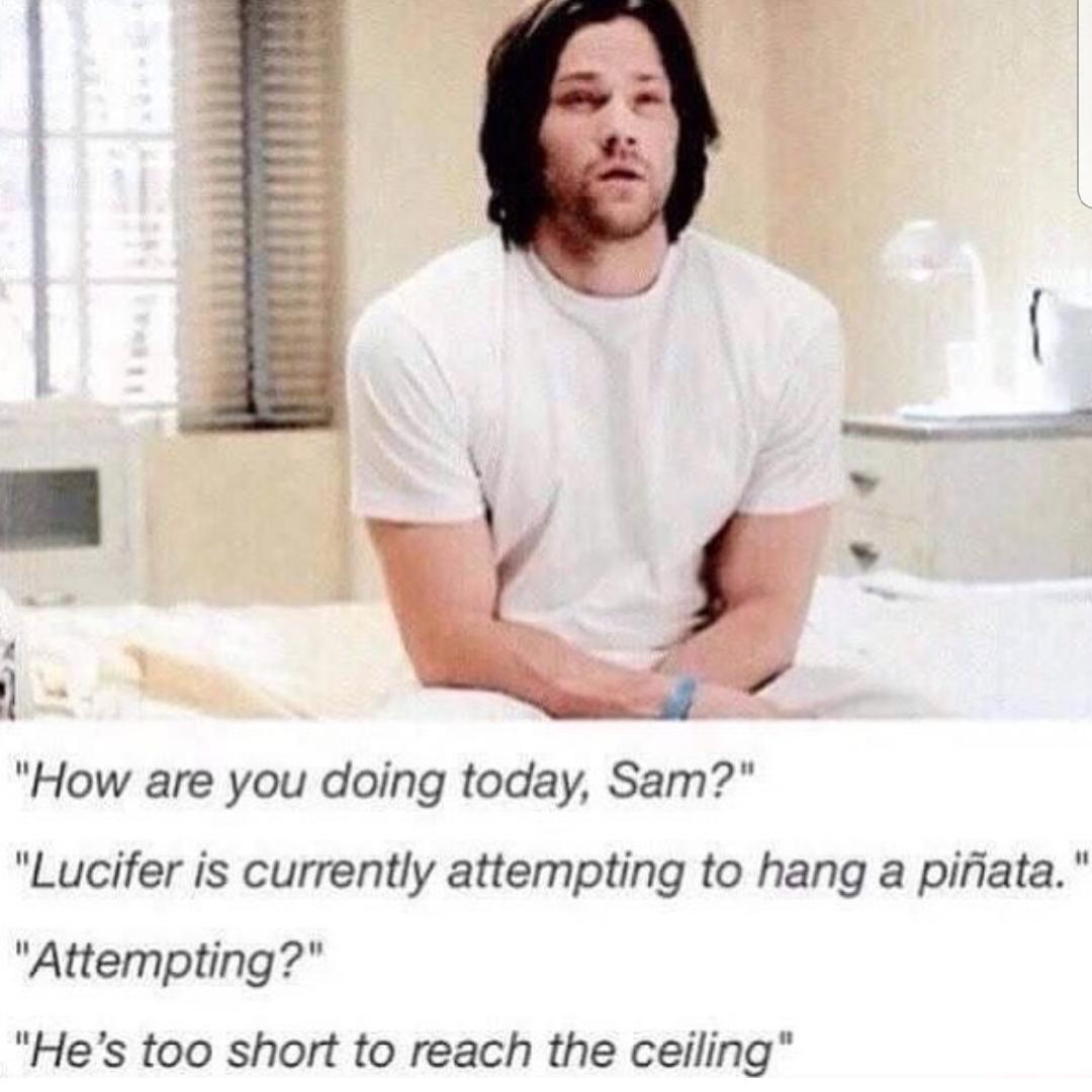 The sad reality | Scrolller