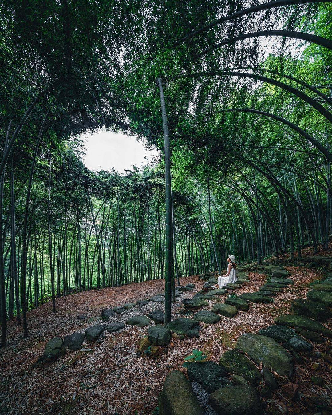 The secret meeting place in the grove | Scrolller