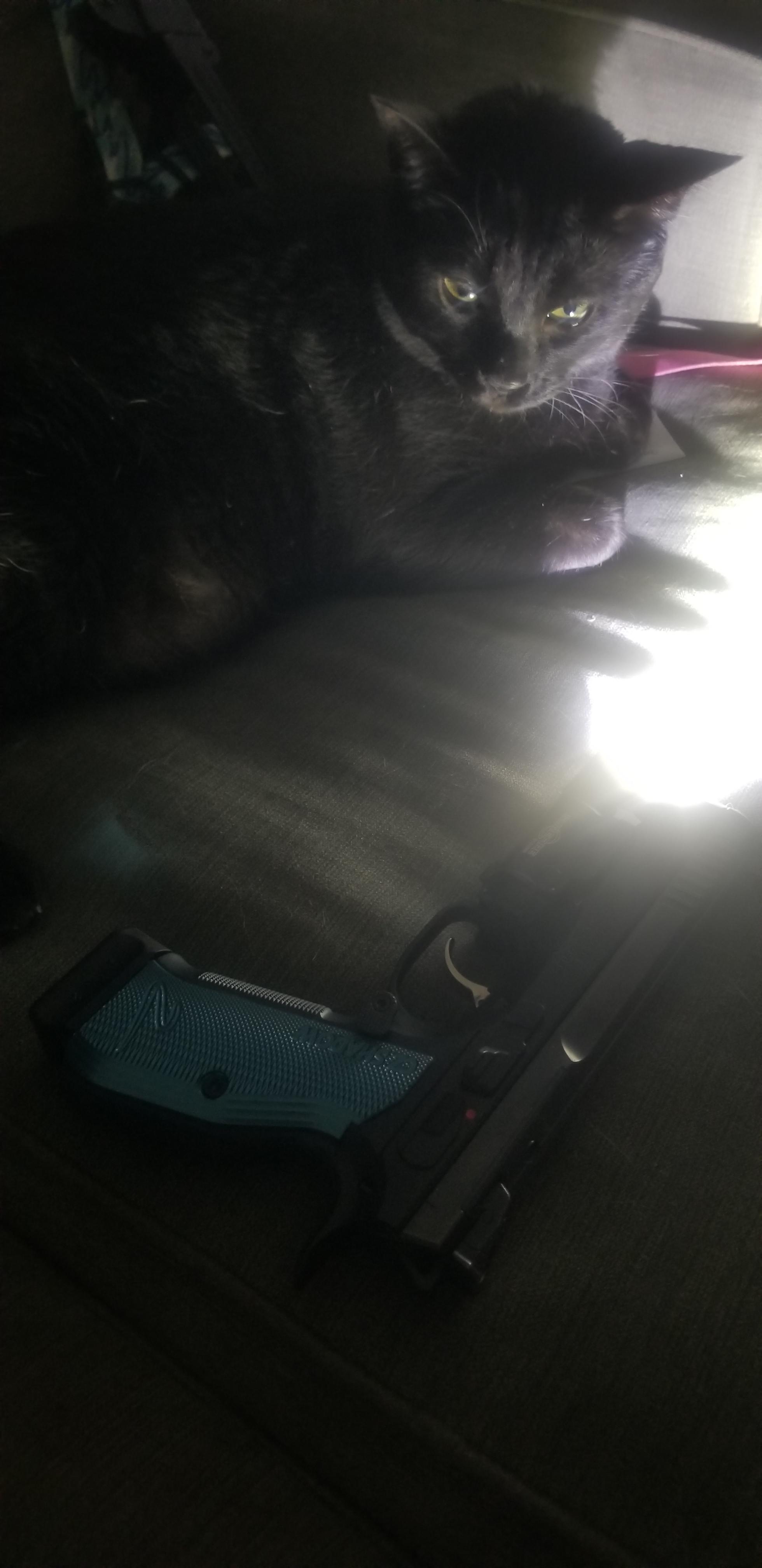 The shadow realm.. | Scrolller