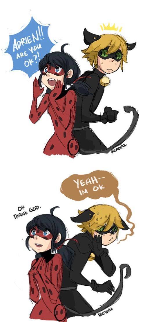 The show in a nutshell | Scrolller