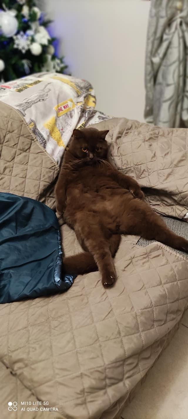 The situation | Scrolller