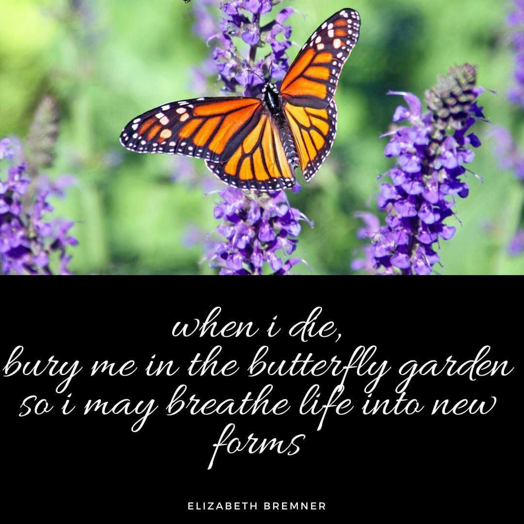 The spring awakening is coming | Scrolller