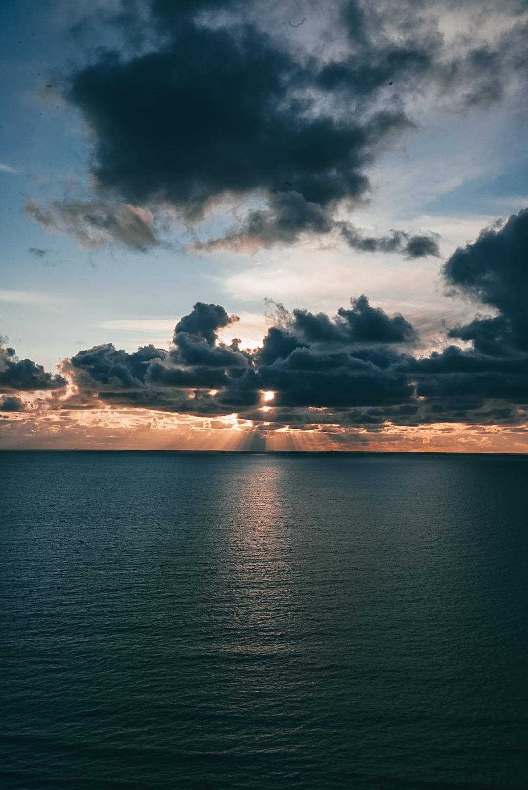 The Swan. | Scrolller