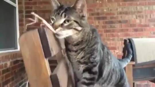 THE TABLES HAVE TURNED | Scrolller