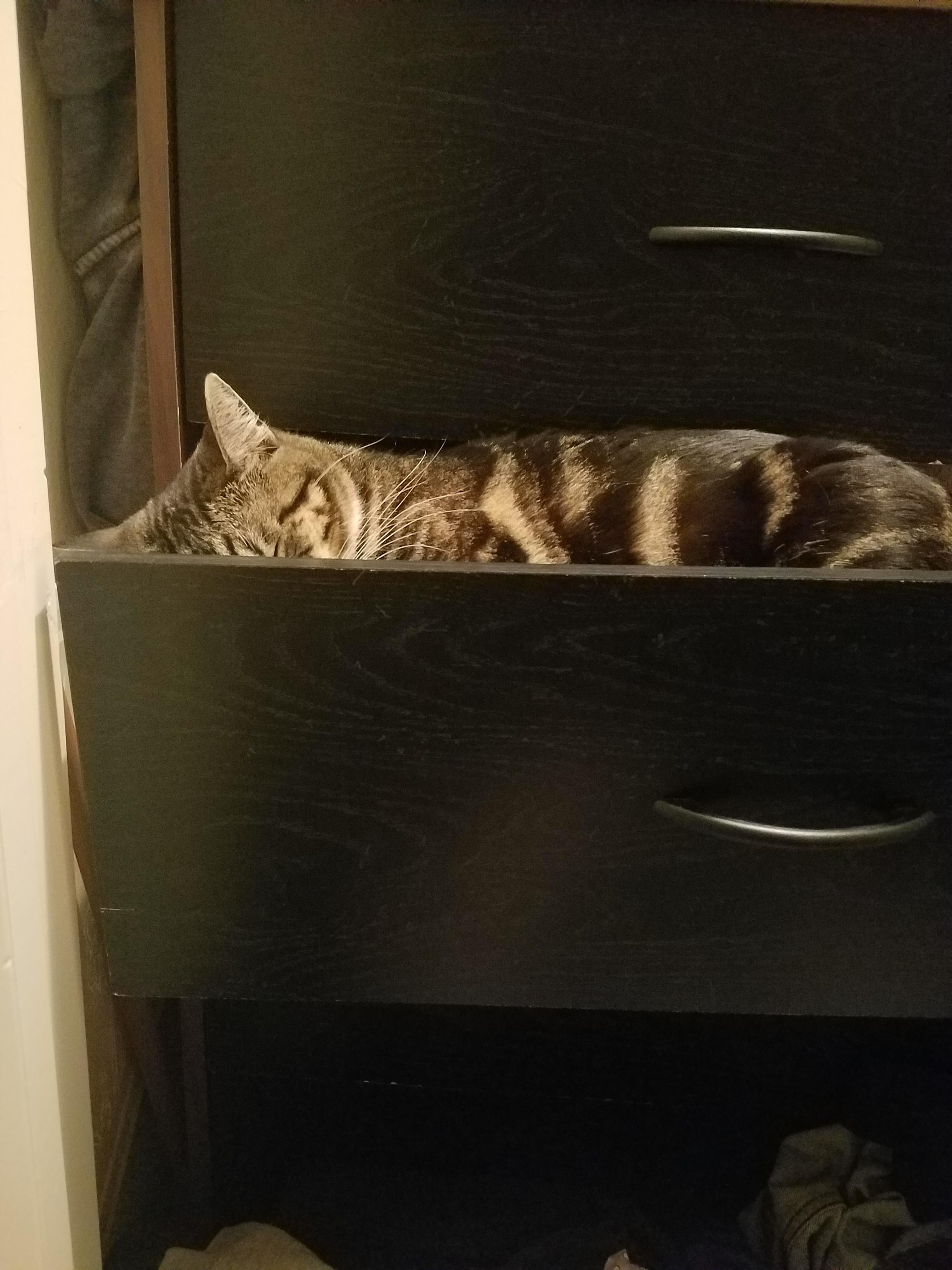 The trip back was so exhausting she fell asleep half way through! | Scrolller