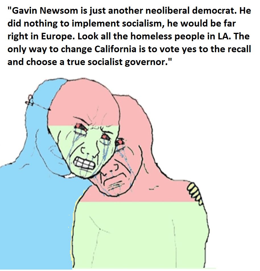 The true argument to vote yes in the recall election ( California ) | Scrolller