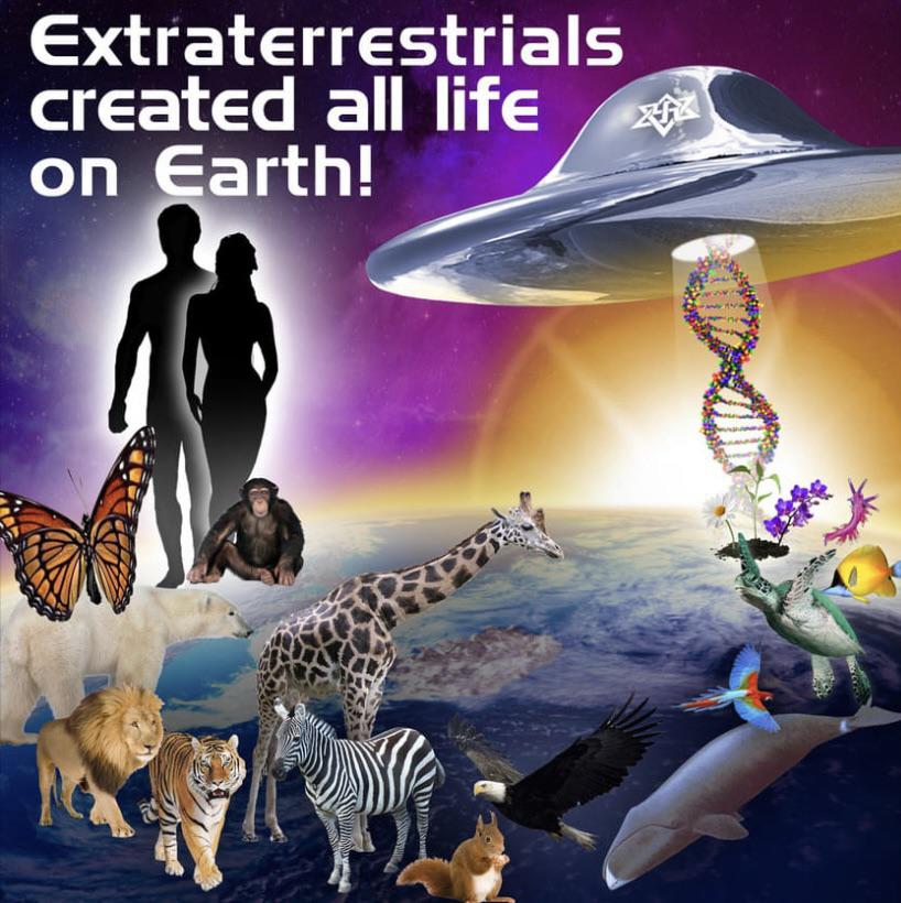 The truth | Scrolller