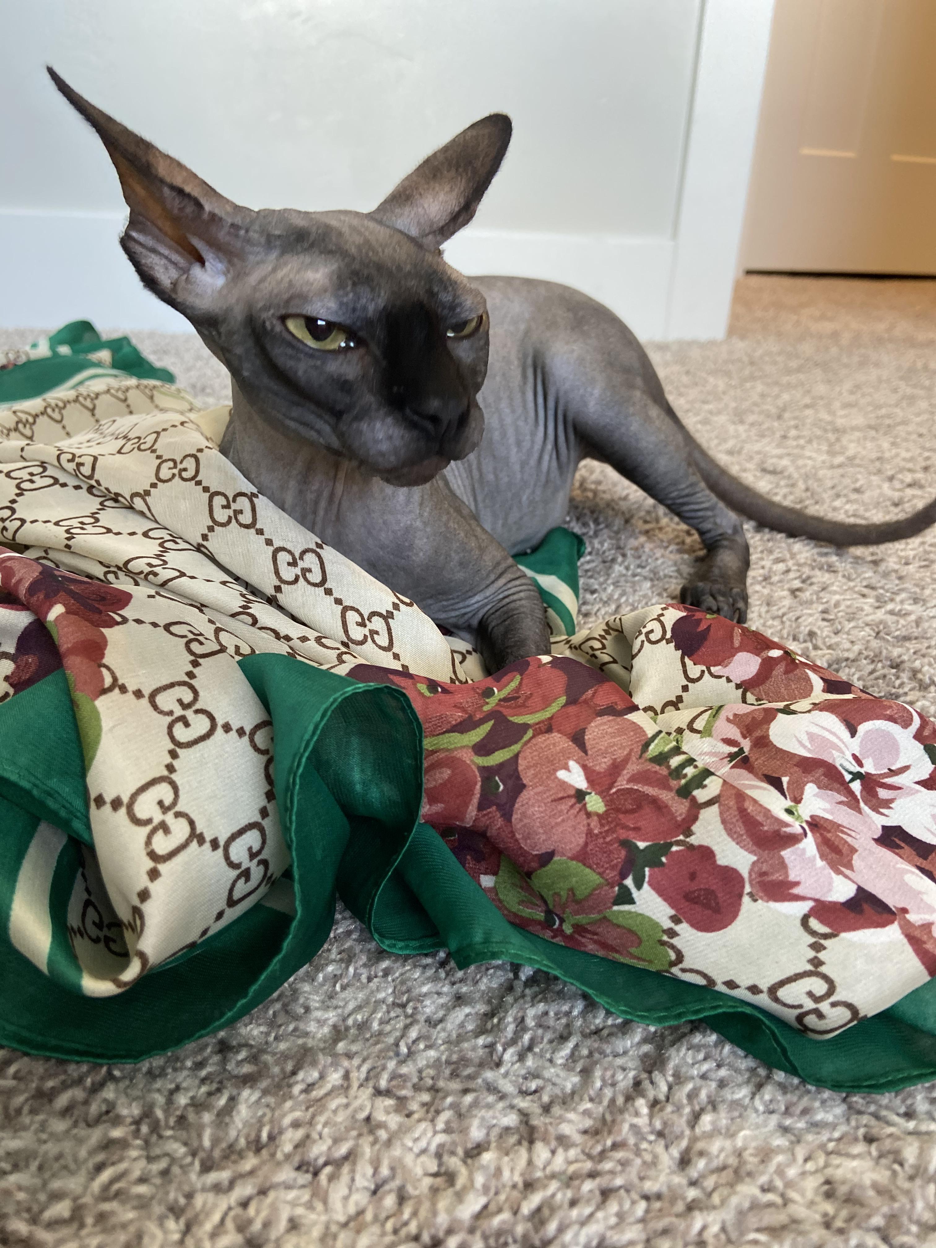 The typical boujee housewife. | Scrolller