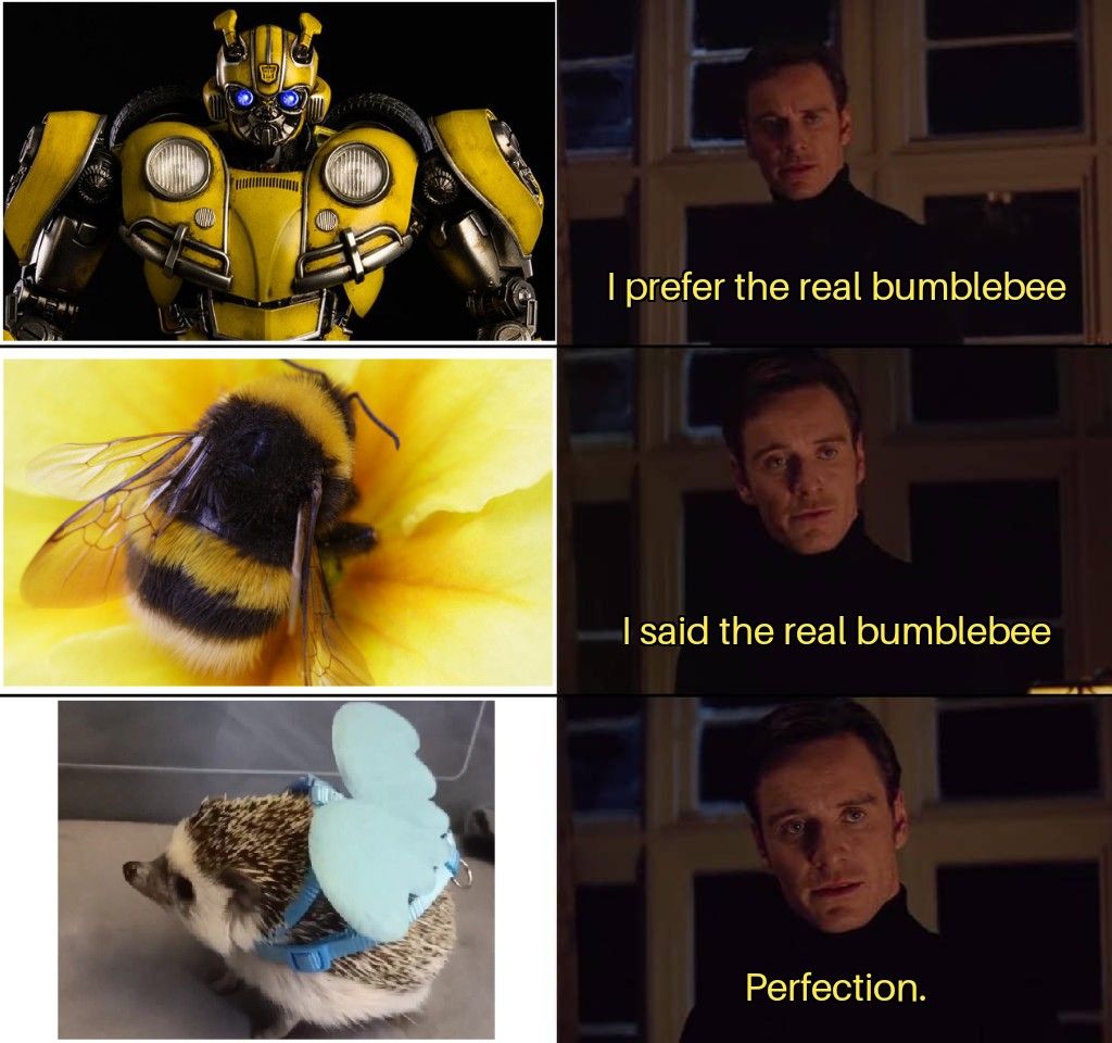 The ultimate bumblebee, so many stingers | Scrolller