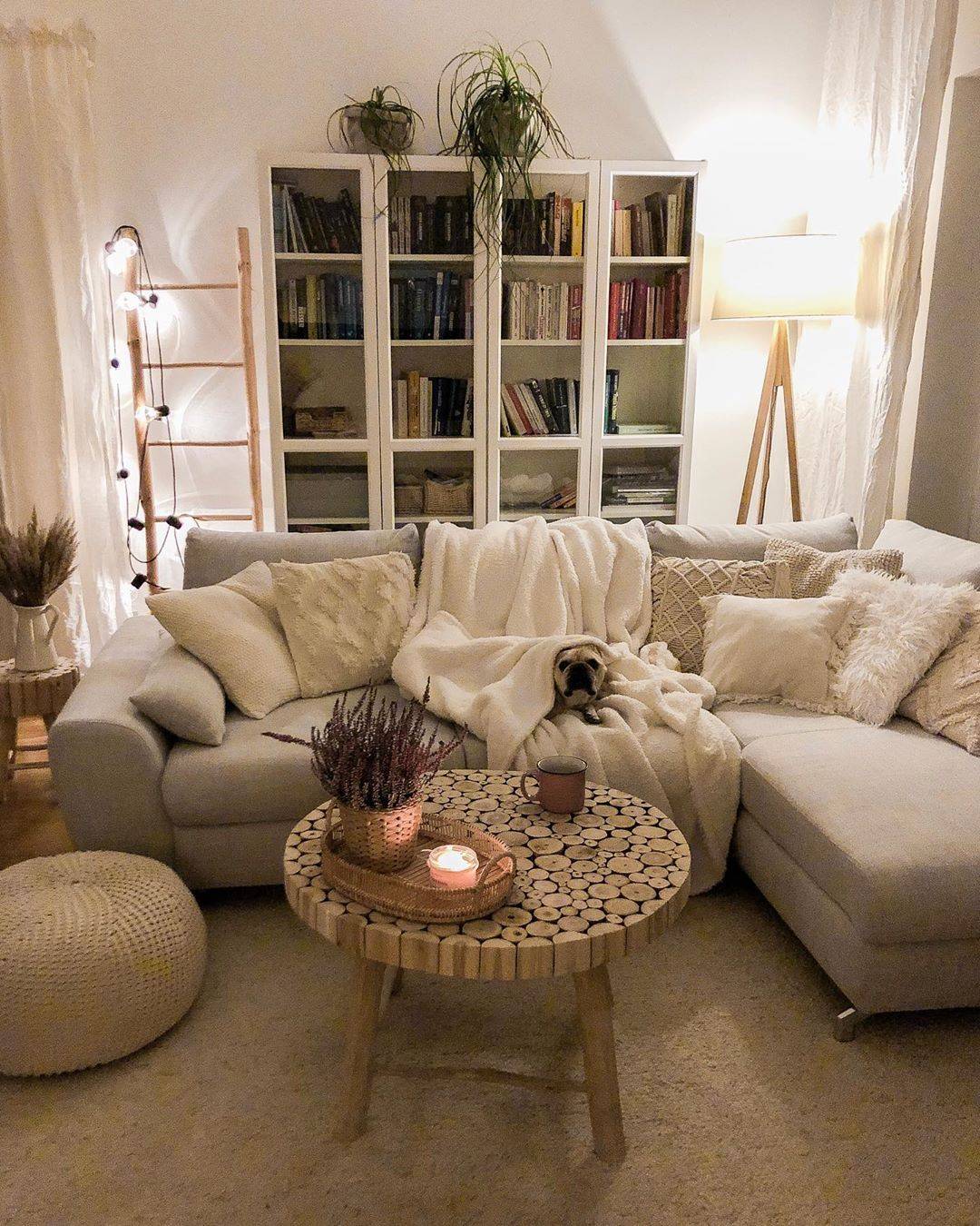 The ultimate cozy living room | Scrolller