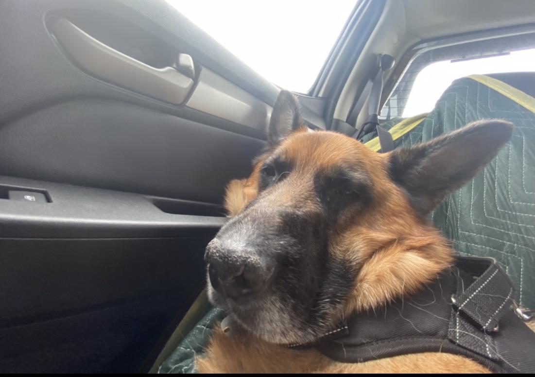 The ultimate squish | Scrolller