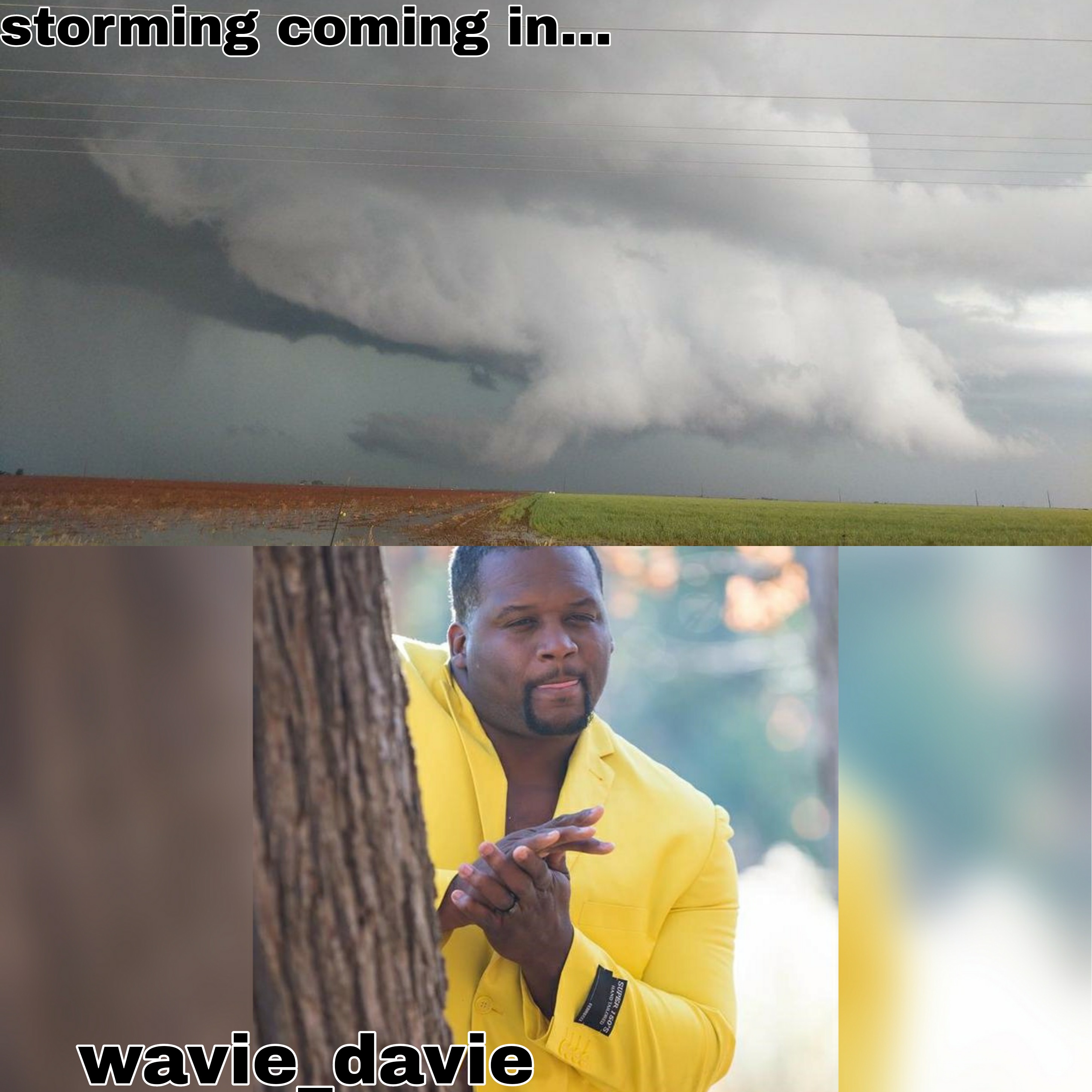 The videos really are great tho | Scrolller