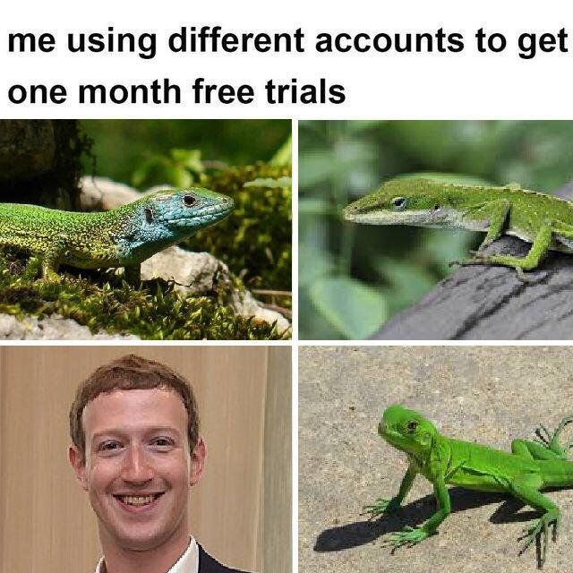 The zucc | Scrolller