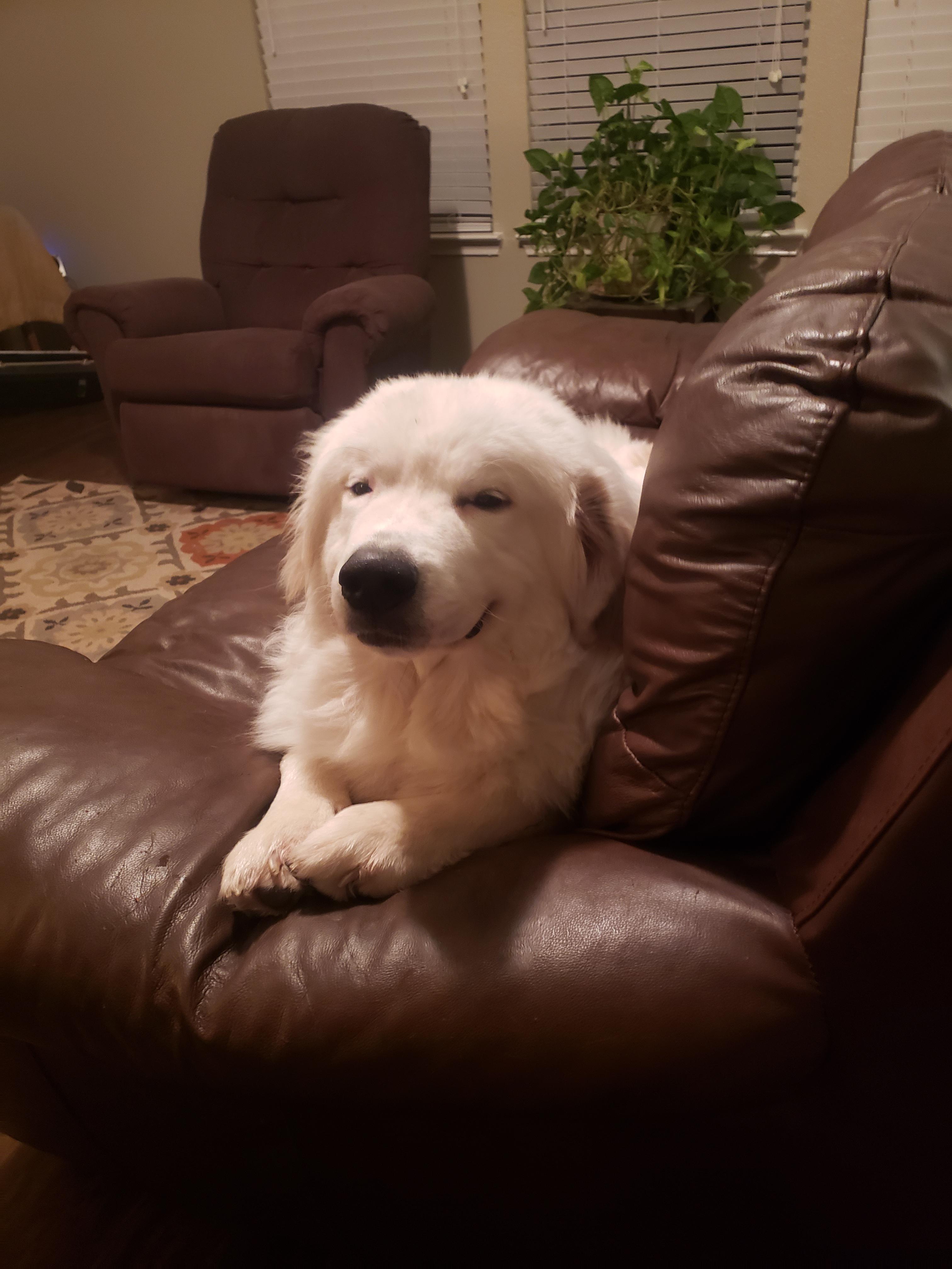 Theodore doing his nervous smile | Scrolller