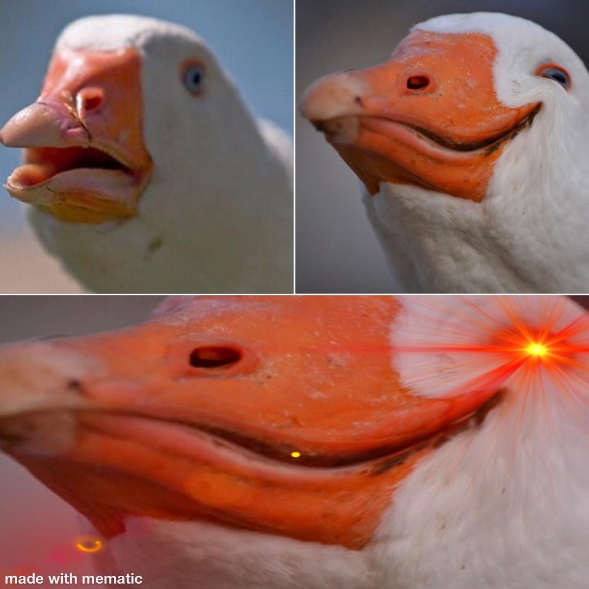 There are 3 superior YouTubers | Scrolller