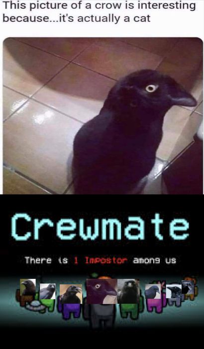 There is one impostor among us | Scrolller