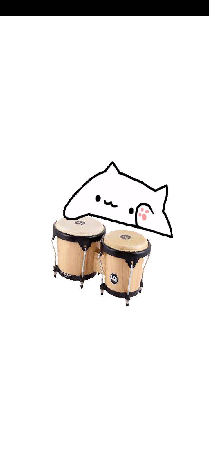 there's a app for bongo cat and it's called Bongo cat. | Scrolller