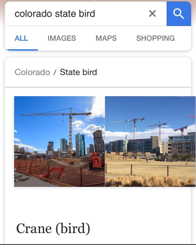 There's a new state bird? | Scrolller