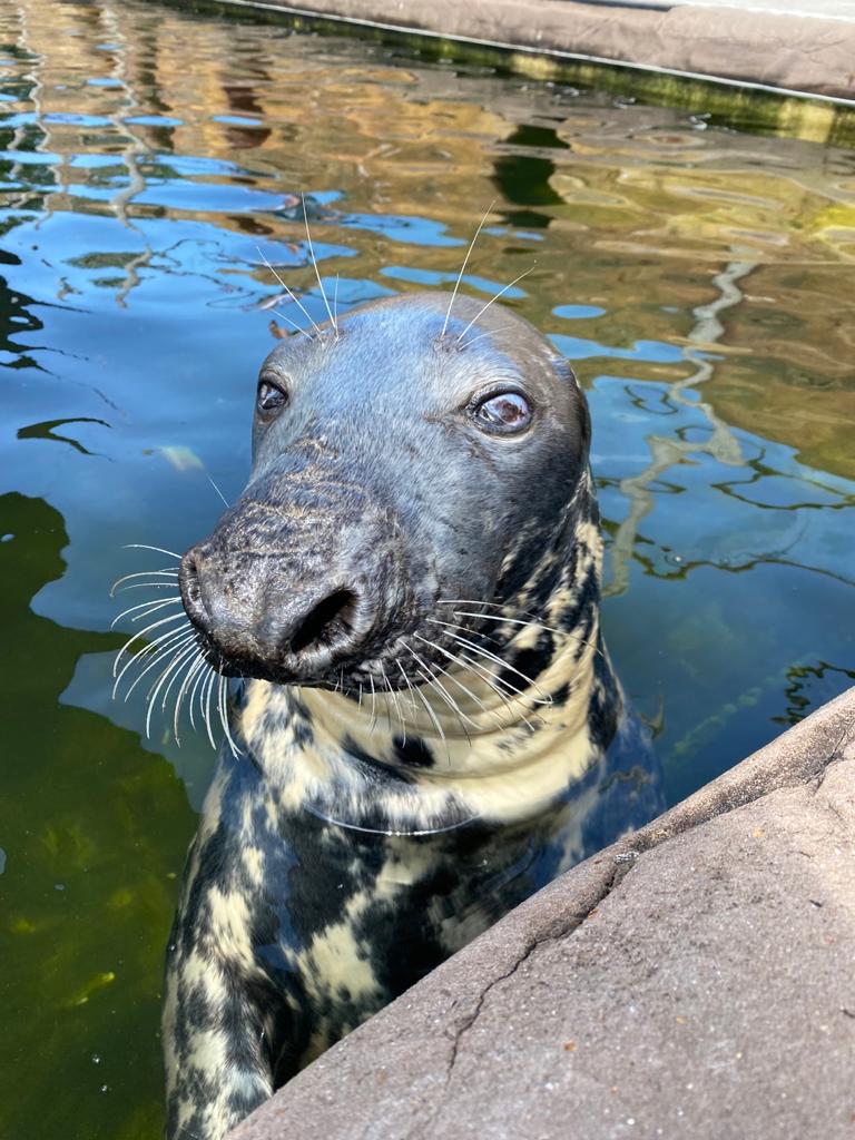 There's something fishy going on | Scrolller