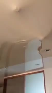 There's something trapped in the ceiling | Scrolller