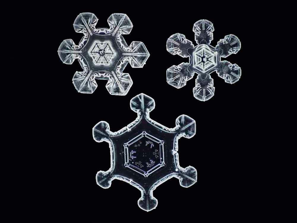 these-are-the-highest-resolution-photos-ever-taken-of-snowflakes