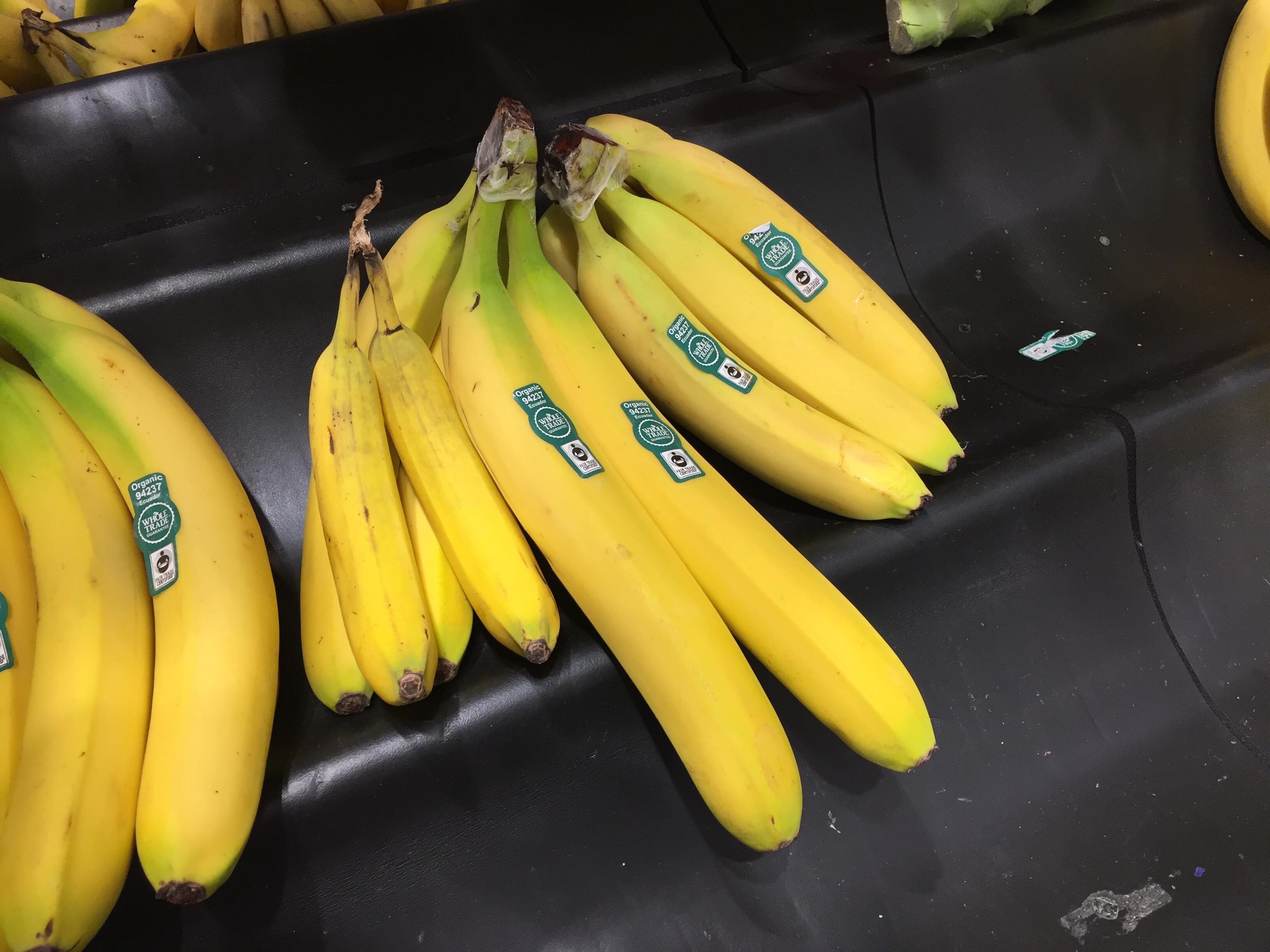 These oddly long bananas (x-post from r/mildlyinteresting) | Scrolller