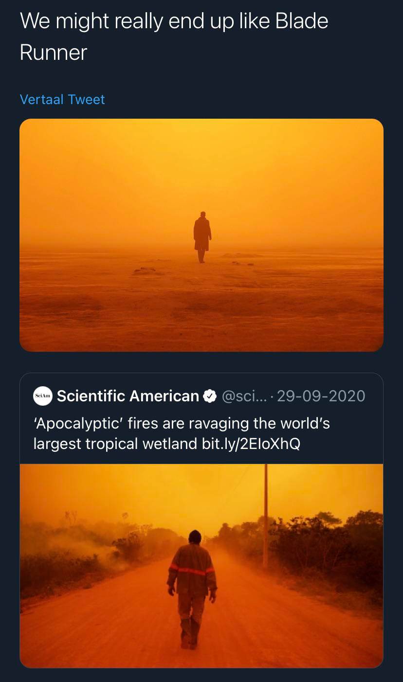 They almost look exactly the same! | Scrolller