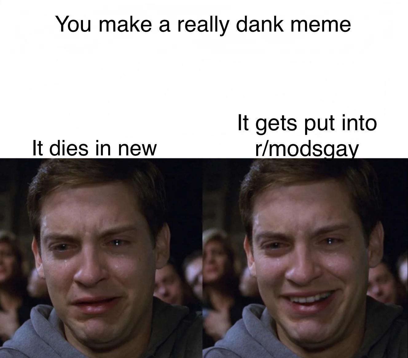 They always save my memes | Scrolller