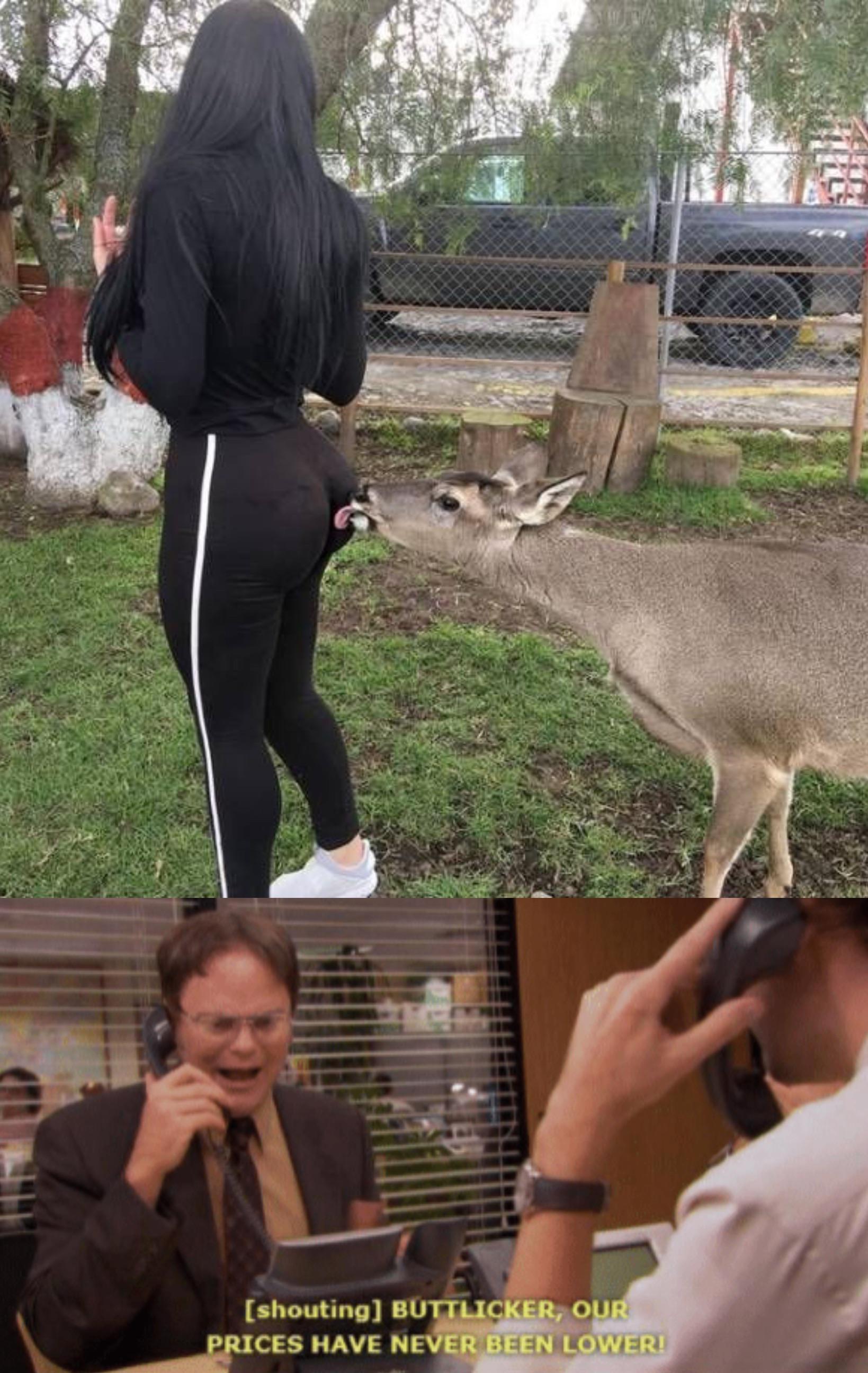 They built this country | Scrolller