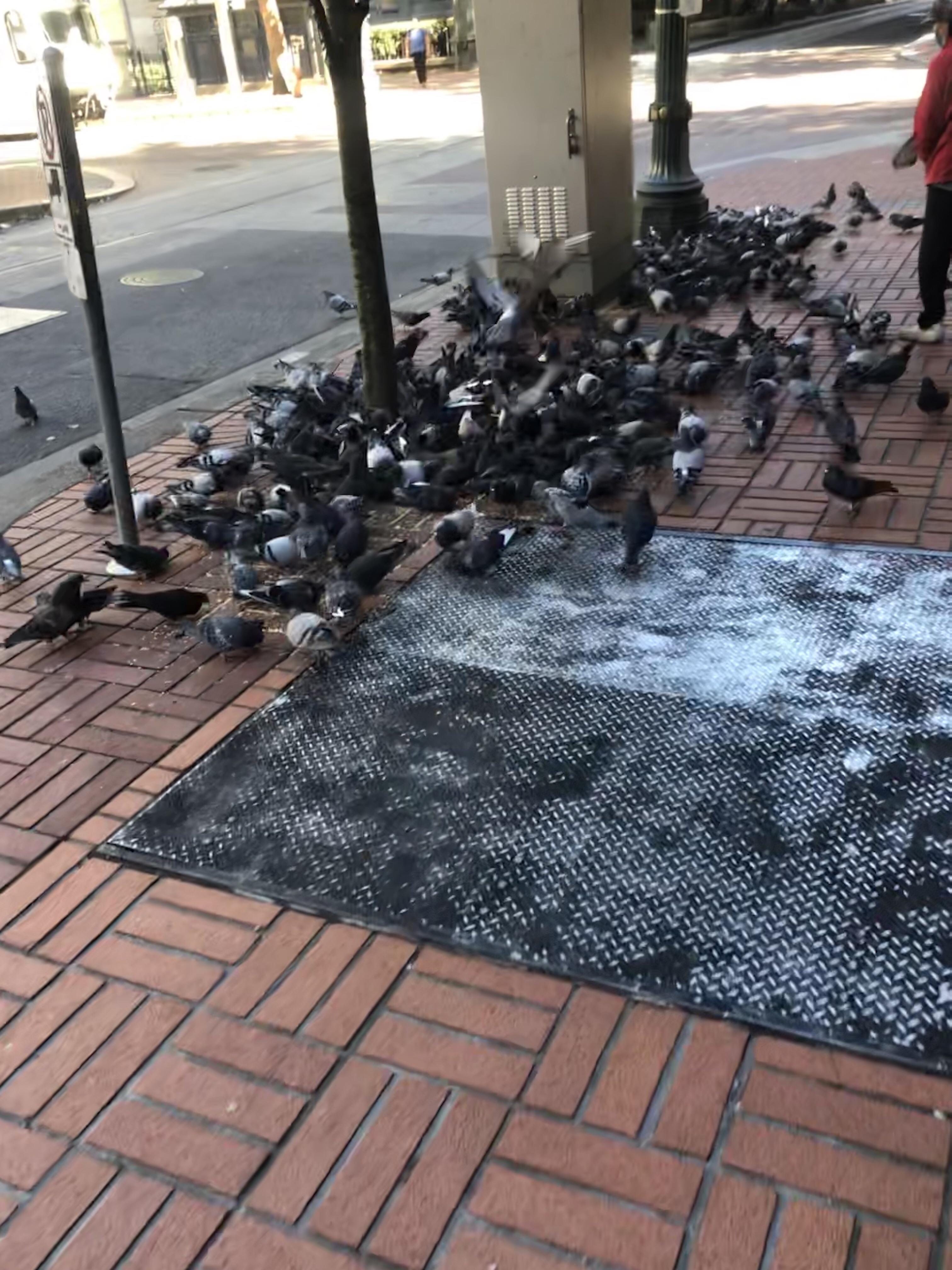 They feed. | Scrolller