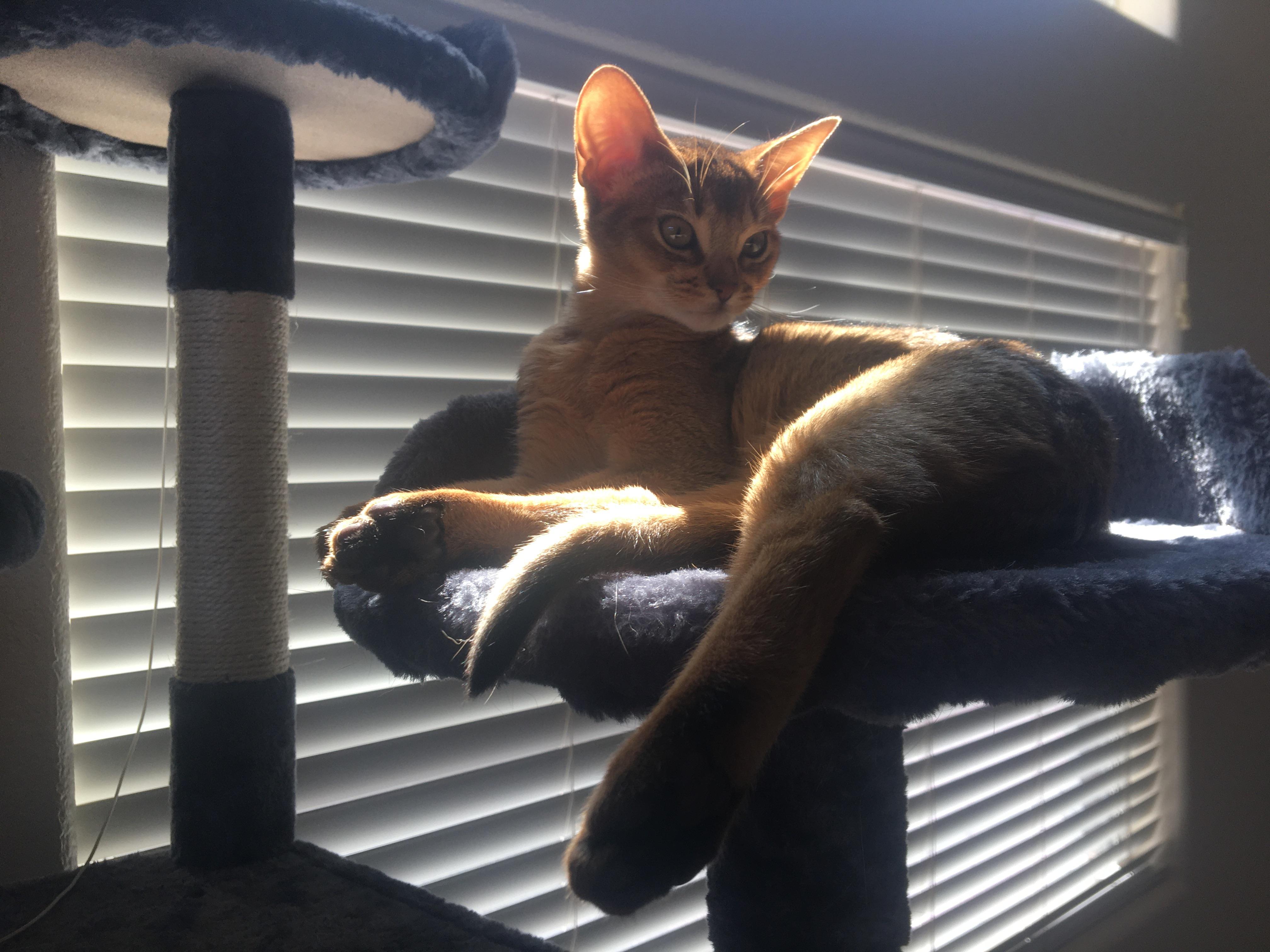 They grow so fast! | Scrolller