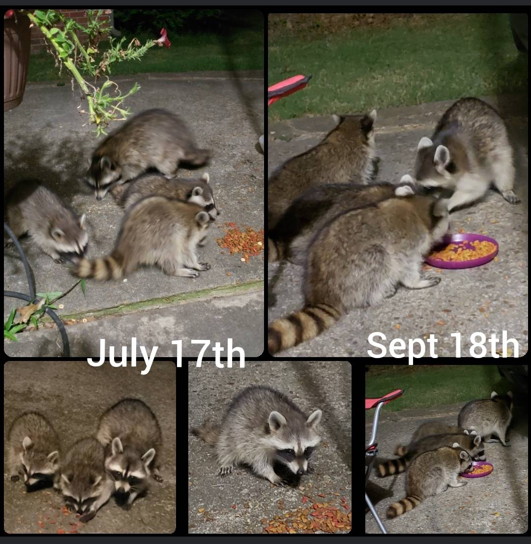 They Grow Up So Fast. | Scrolller