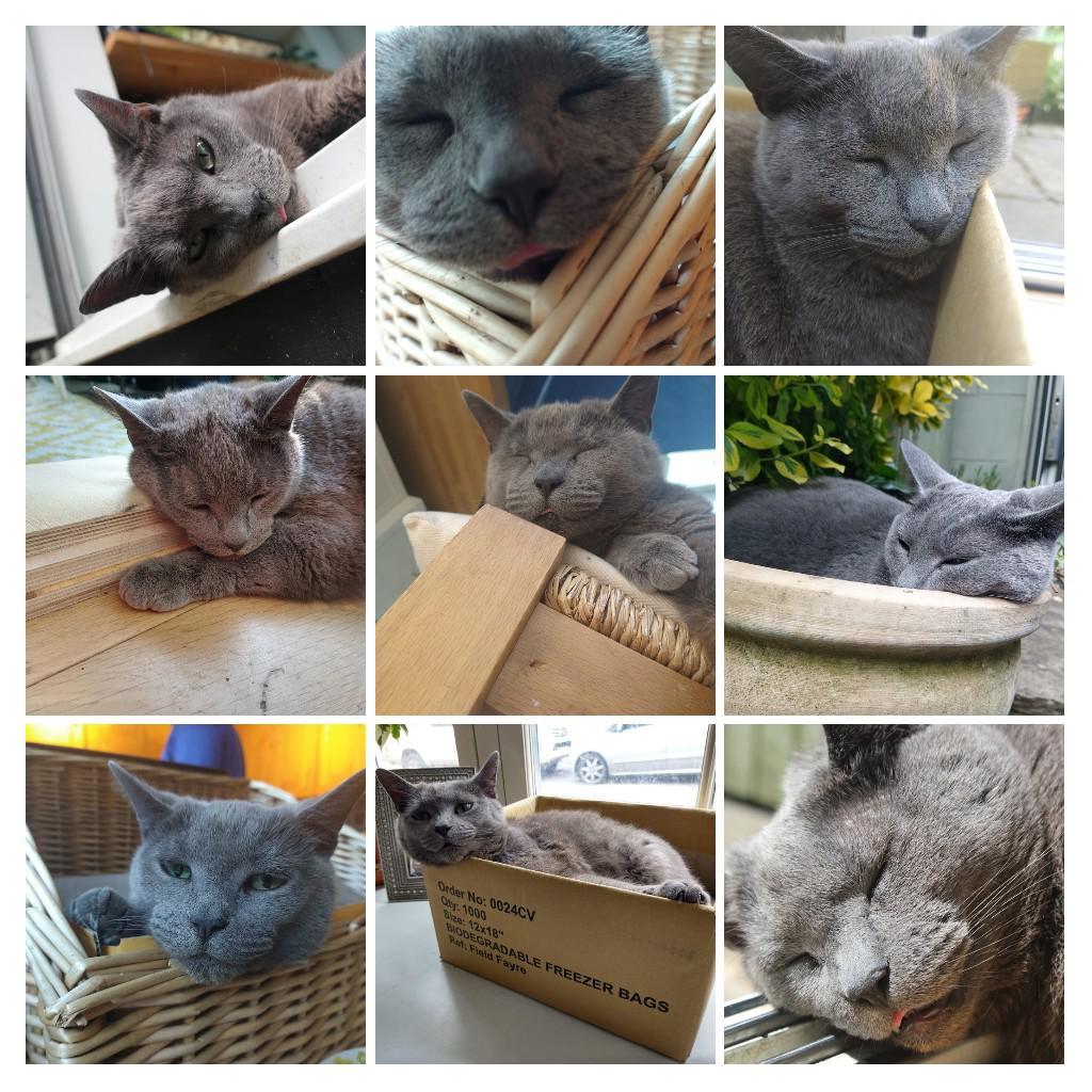 they like chin rests | Scrolller