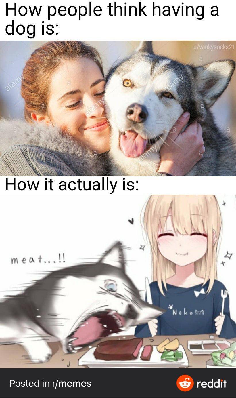 They’re so cute though! | Scrolller