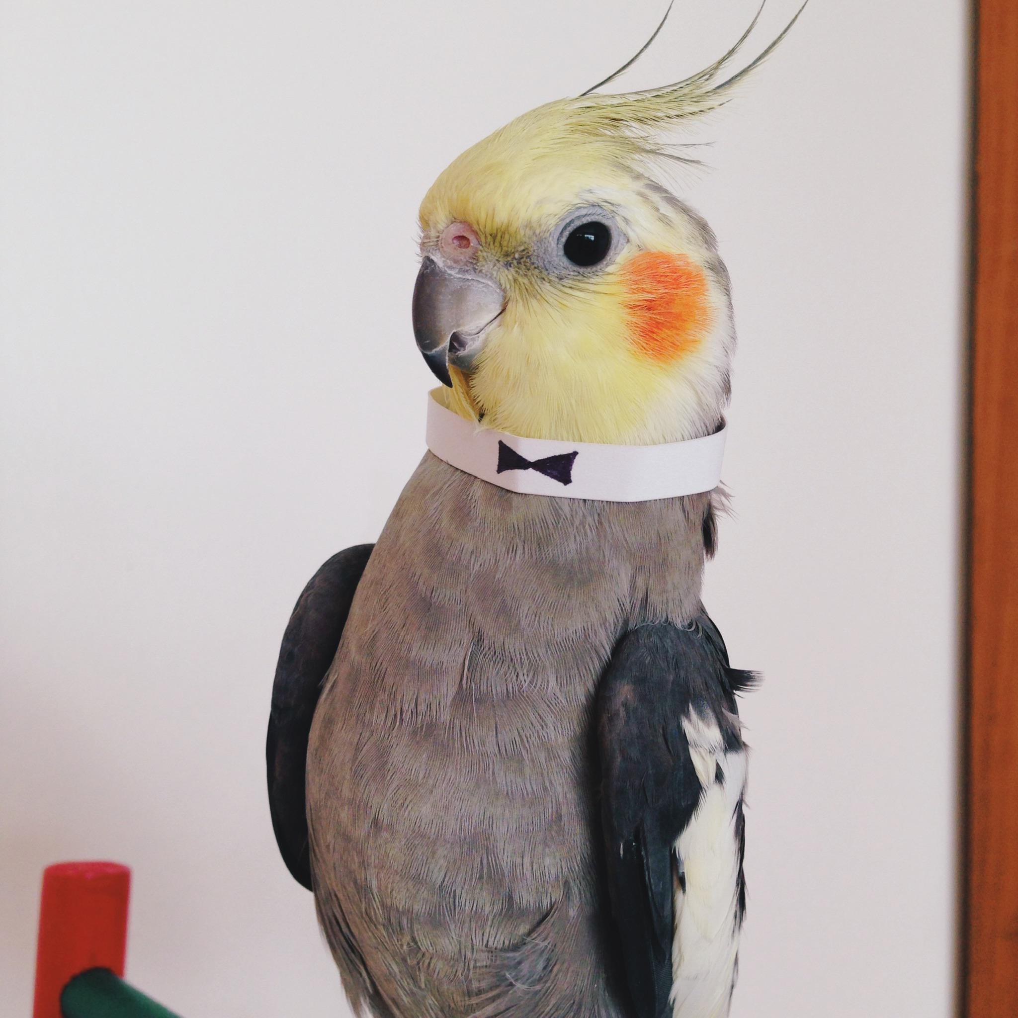 TheyCallMeJamesBorb | Scrolller