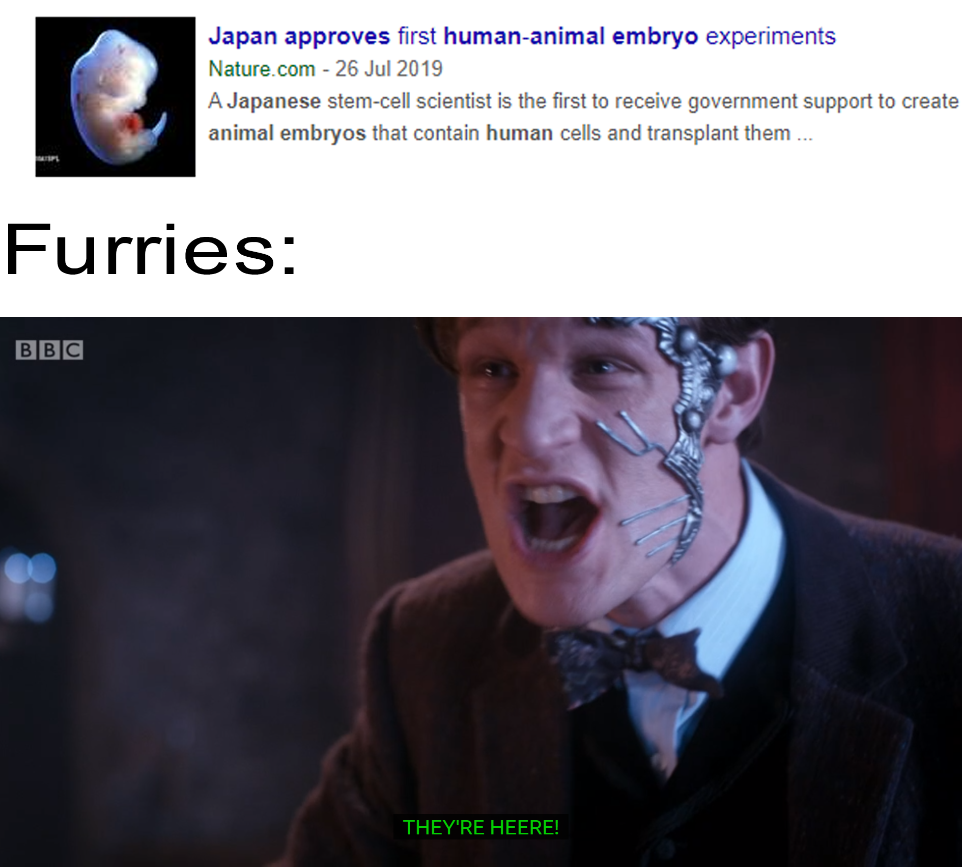 They're are coming! | Scrolller