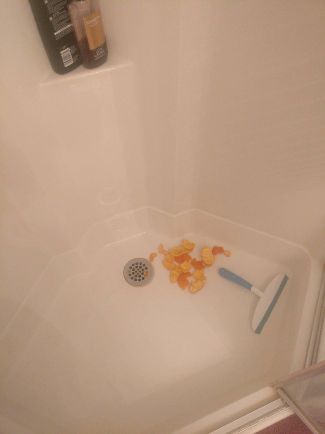 They're dead, every single one of them. And not just the clementines, but the clewomentines, and ...