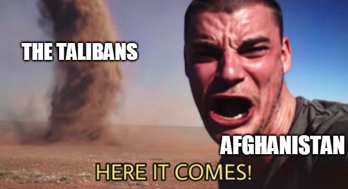 they're here | Scrolller