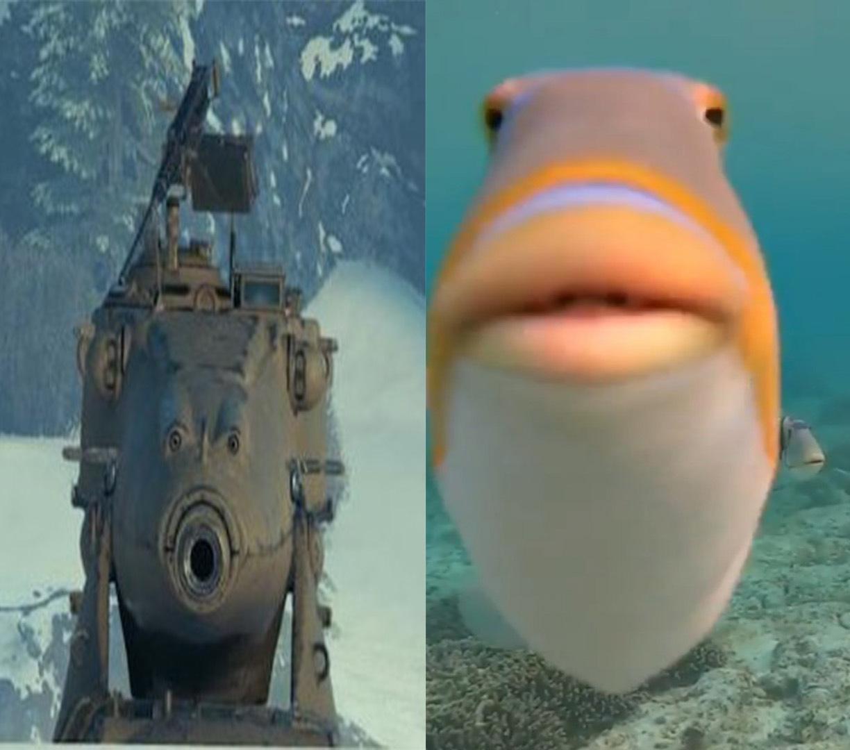 They're the same picture. | Scrolller