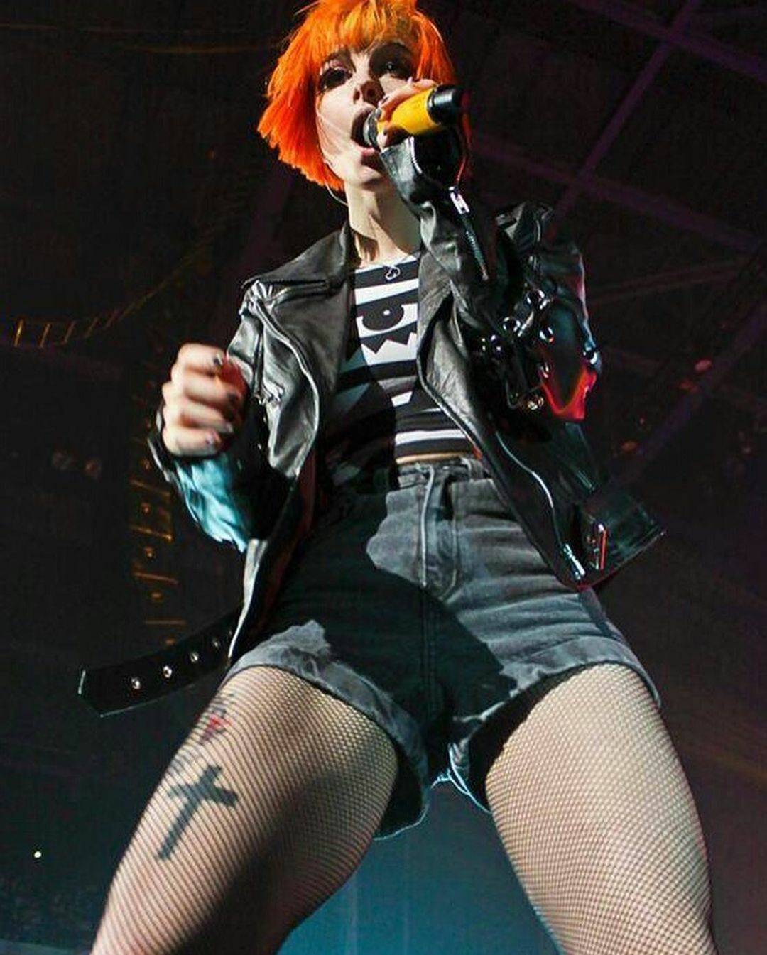 Hayley Williams | Scrolller