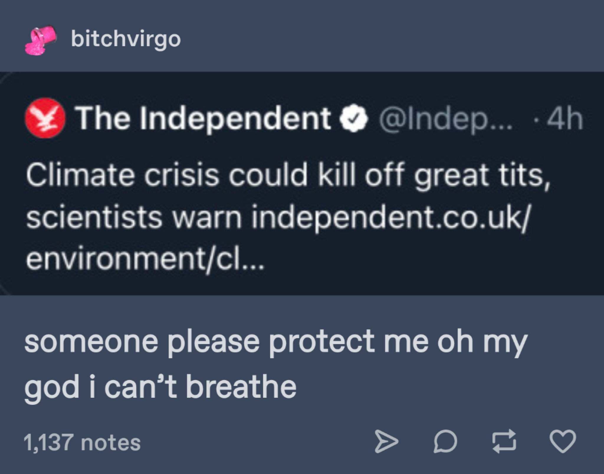 Things heating up in the tit fandom | Scrolller