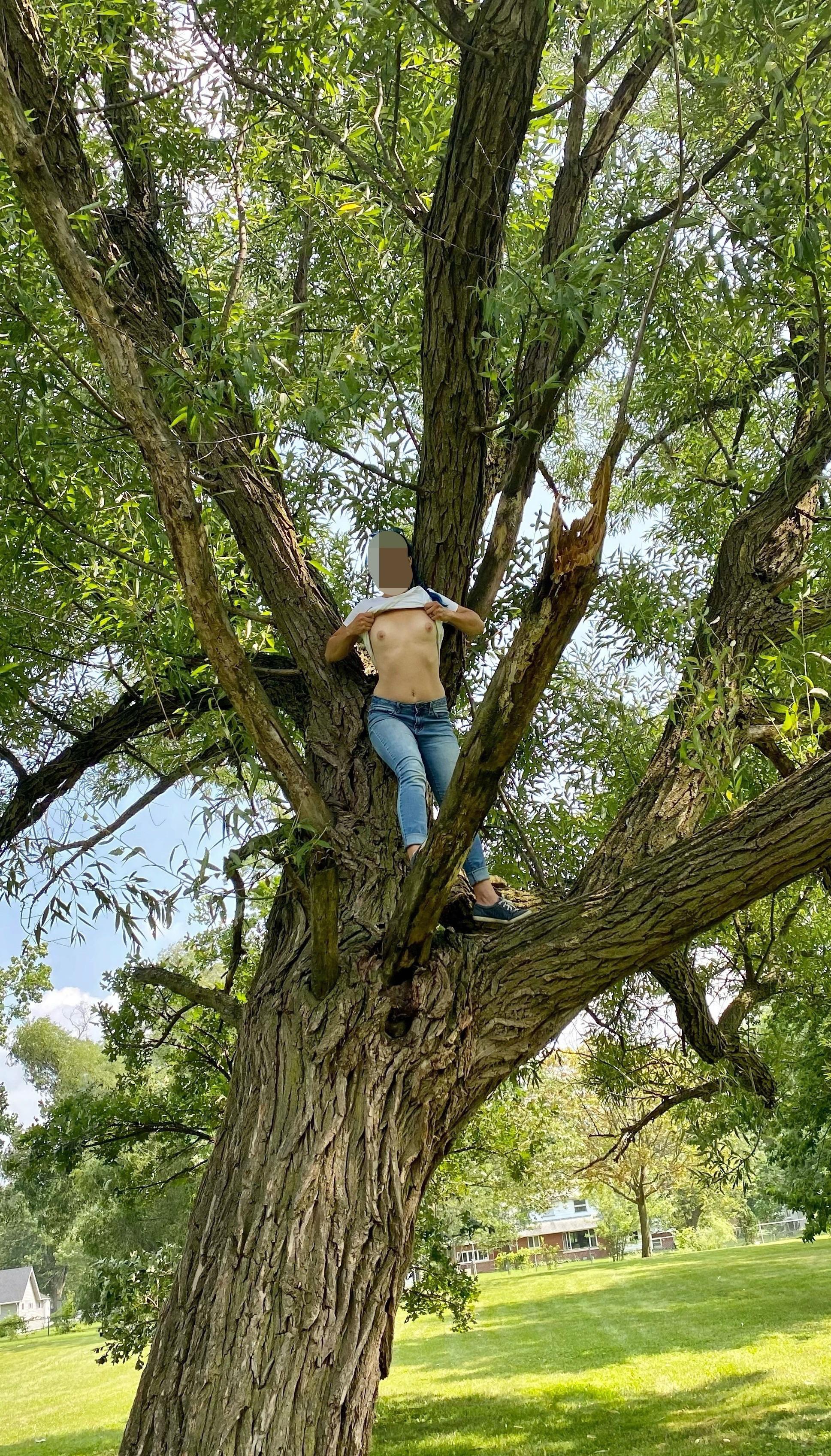 Think Anyone Noticed My Itty Bitty Titties In The Tree Scrolller