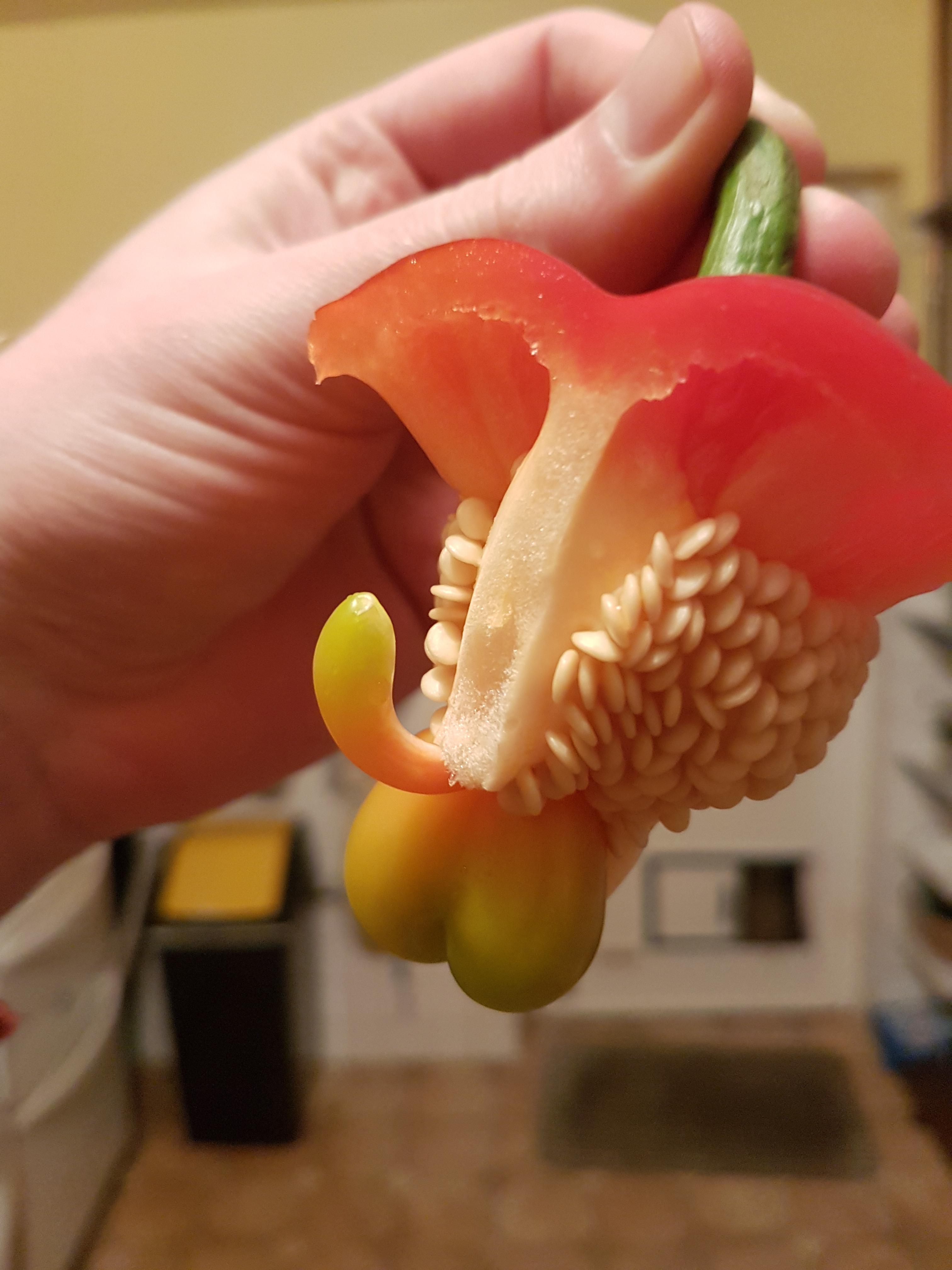 This bell pepper I chopped. | Scrolller